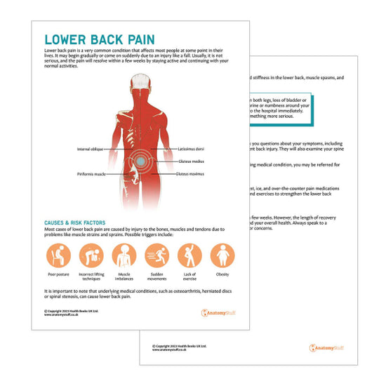 Patient Education Handouts | PDF Download – AnatomyStuff