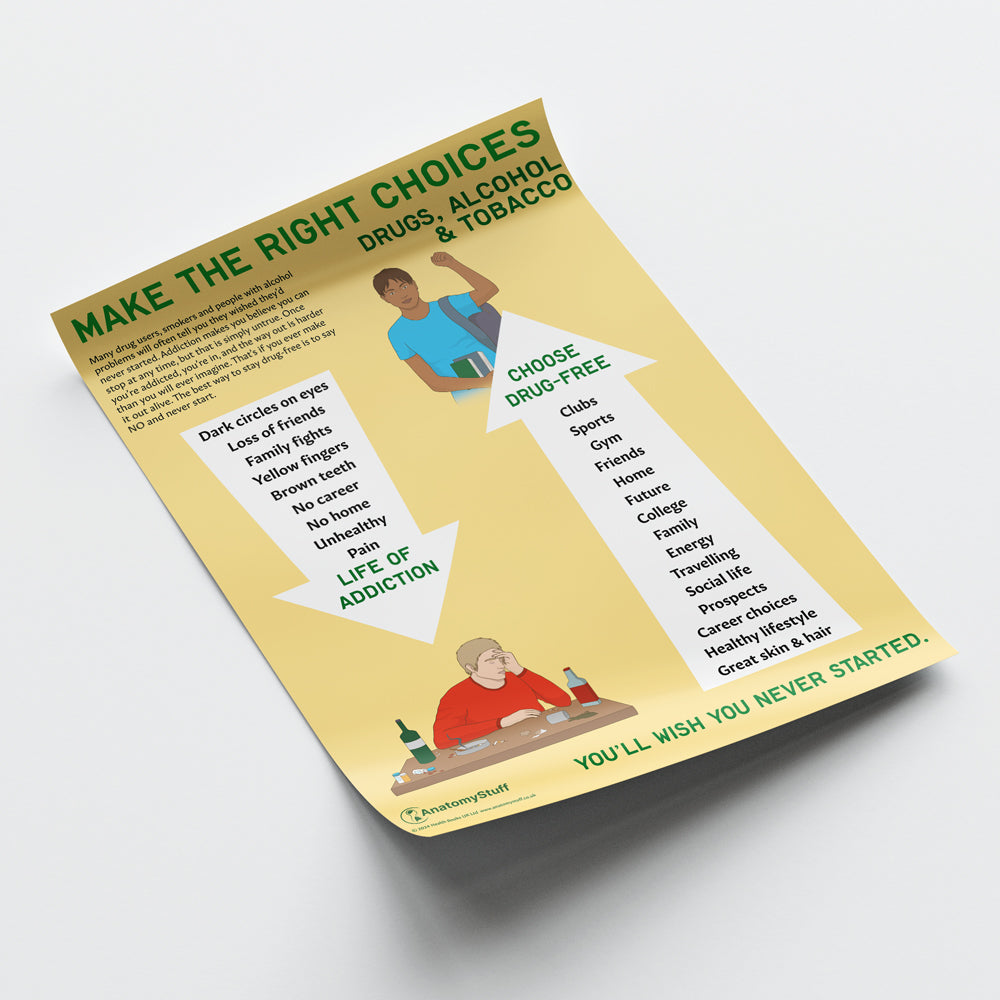 Make the right choices Poster | PSHE School Education Chart – AnatomyStuff