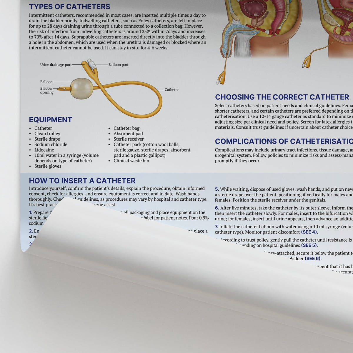Male and Female Catheterisation Chart | Clinical Skills Training Poster ...