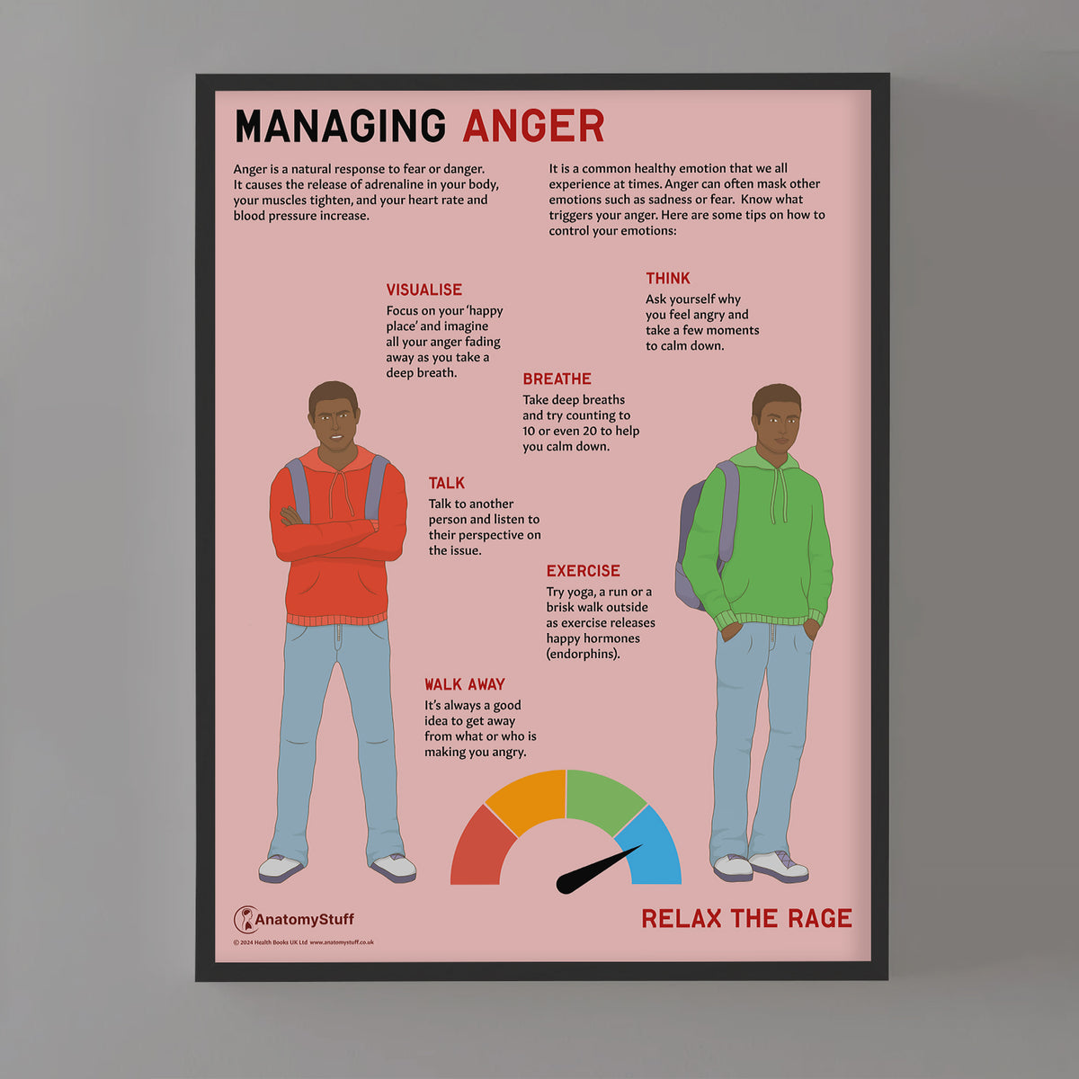 Managing Anger Poster | Emotional Regulation Chart – AnatomyStuff