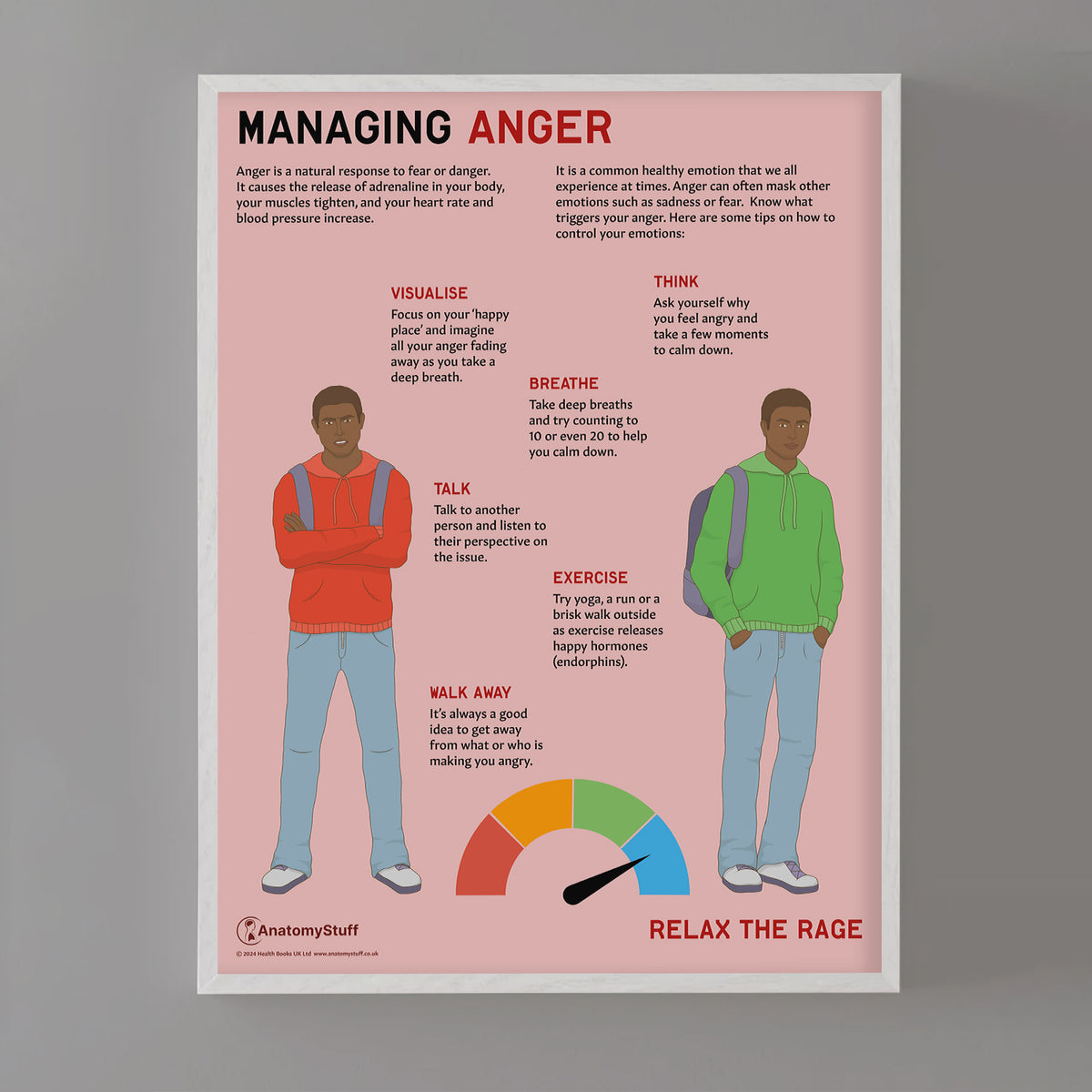 Managing Anger Poster | Emotional Regulation Chart – AnatomyStuff