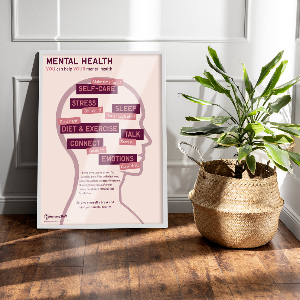 You Can Help Your Mental Health Poster | School Mental Wellbeing Chart ...