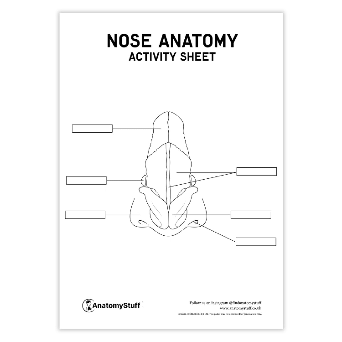 Nose Anatomy Activity Sheet | Digital Download | AnatomyStuff