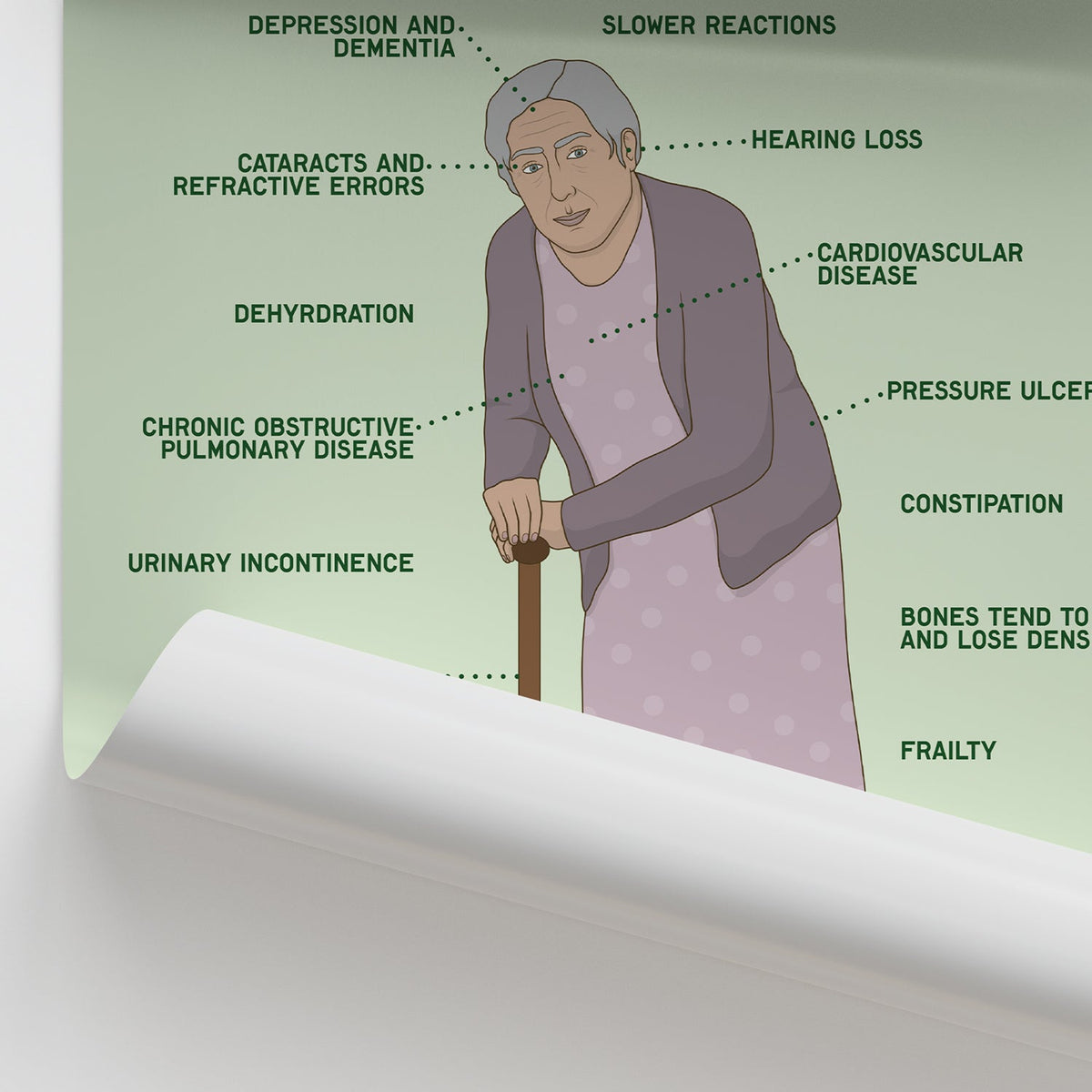 Physical Effects of Ageing Poster | Geriatric Health Chart – AnatomyStuff