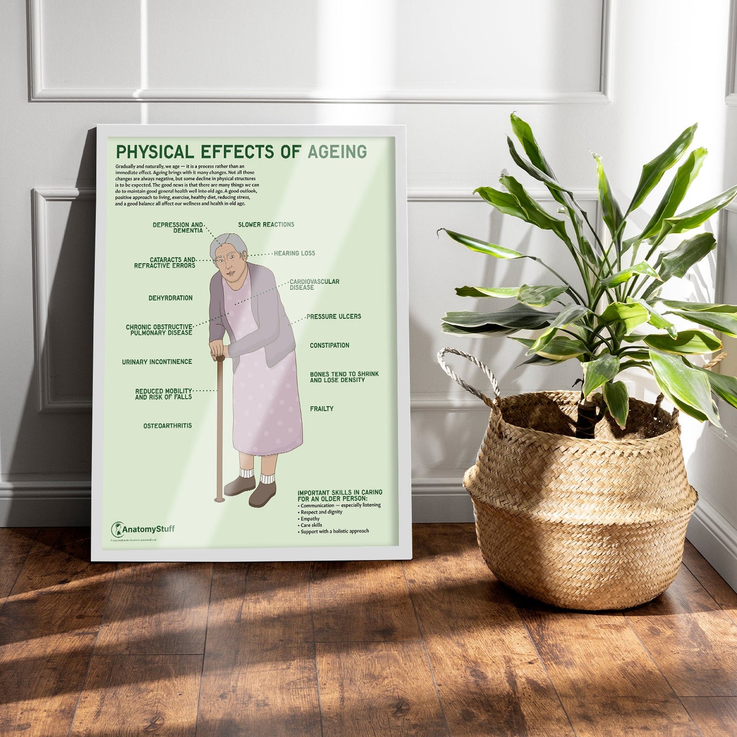 Physical Effects of Ageing Poster | Geriatric Health Chart – AnatomyStuff