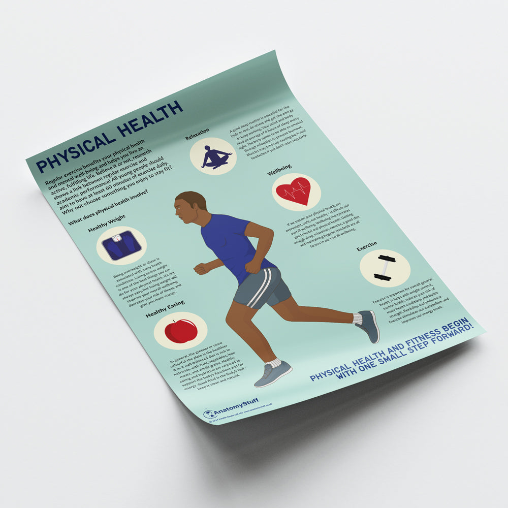 Physical Health and Fitness Poster | Fitness Teaching Chart – AnatomyStuff