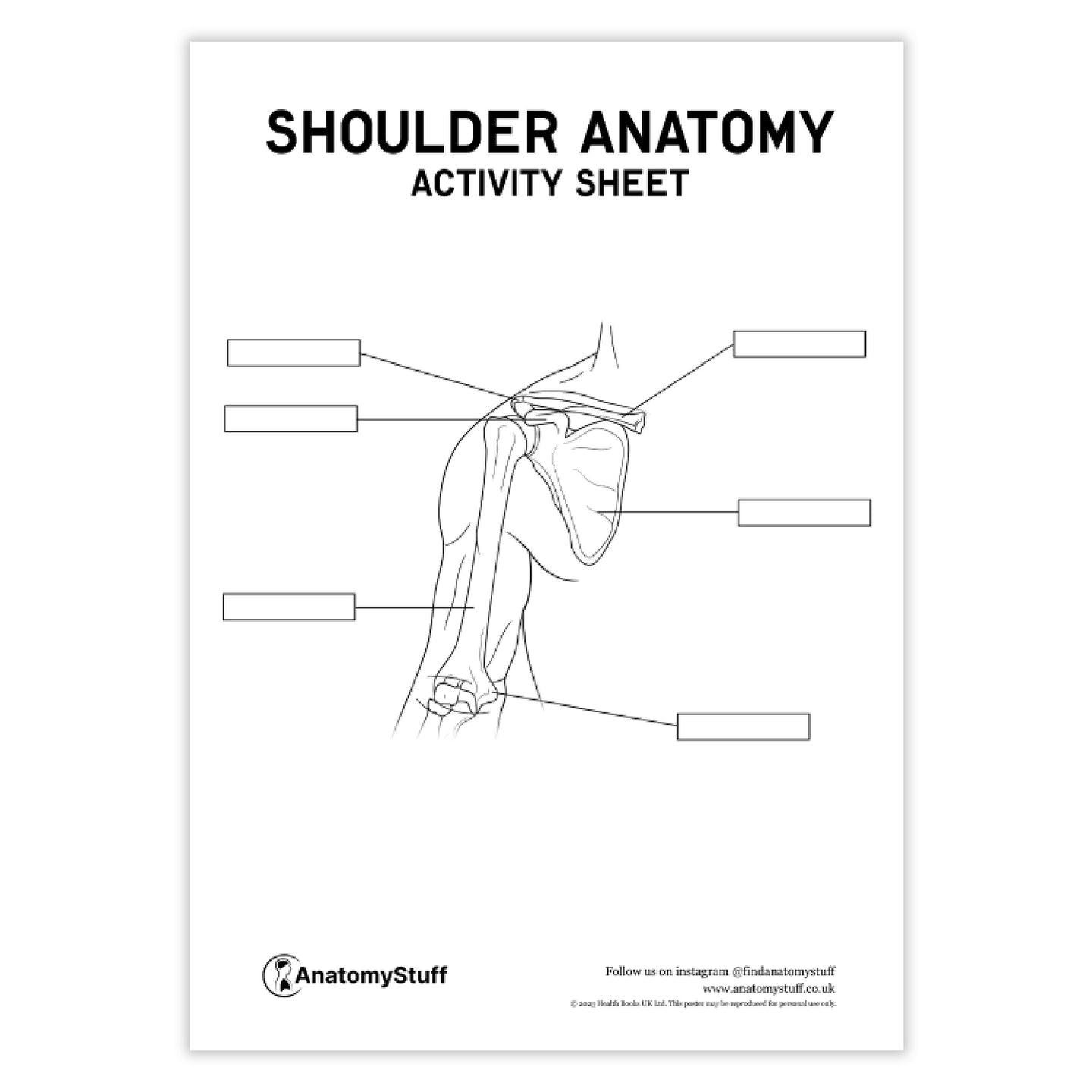 Shoulder Anatomy Activity Sheet | Digital Download | AnatomyStuff