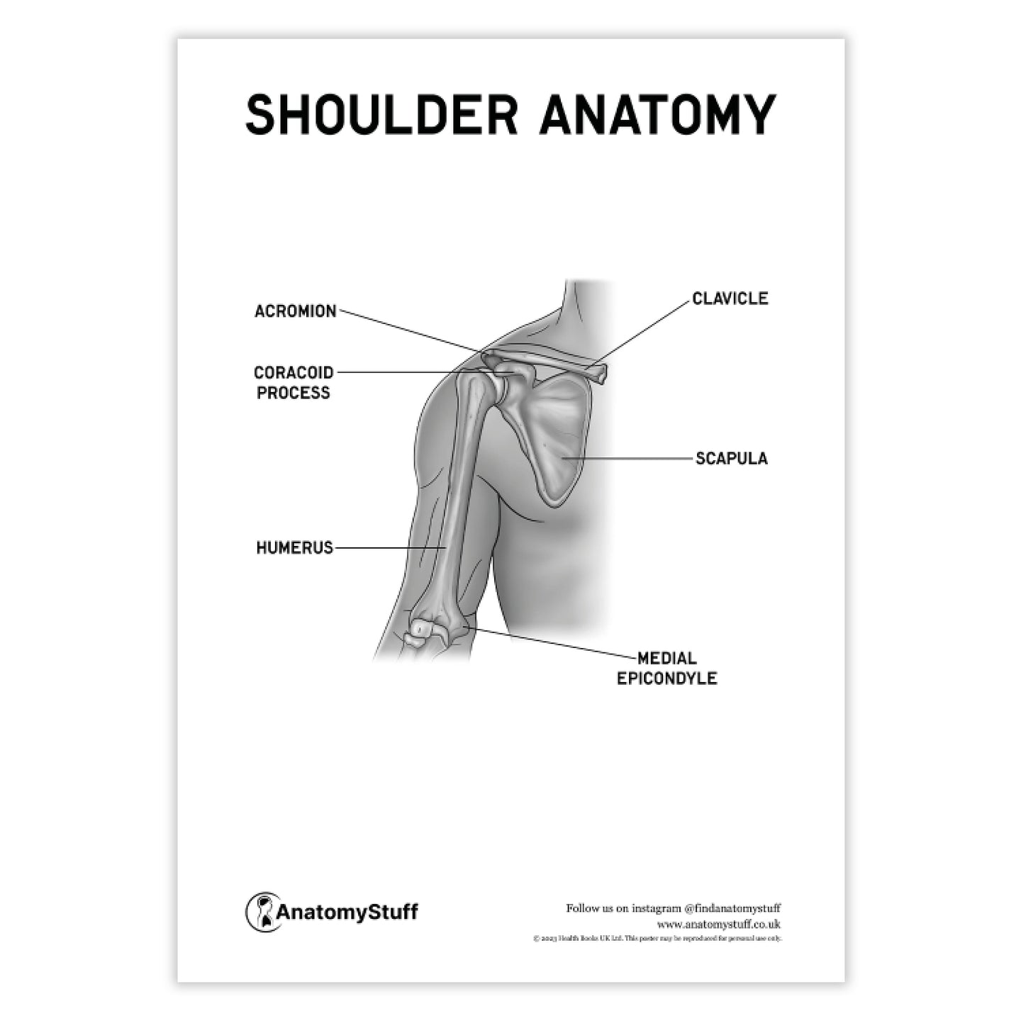 Shoulder Anatomy PDF Poster | Upper Limb Anatomy Download – AnatomyStuff