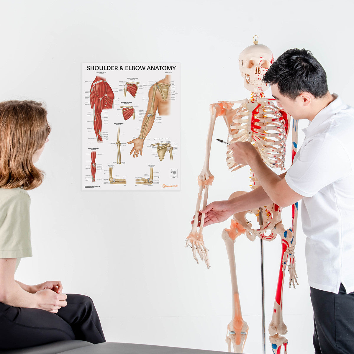 Shoulder & Elbow Anatomy Poster | Upper Limb Chart for Study & Clinics ...