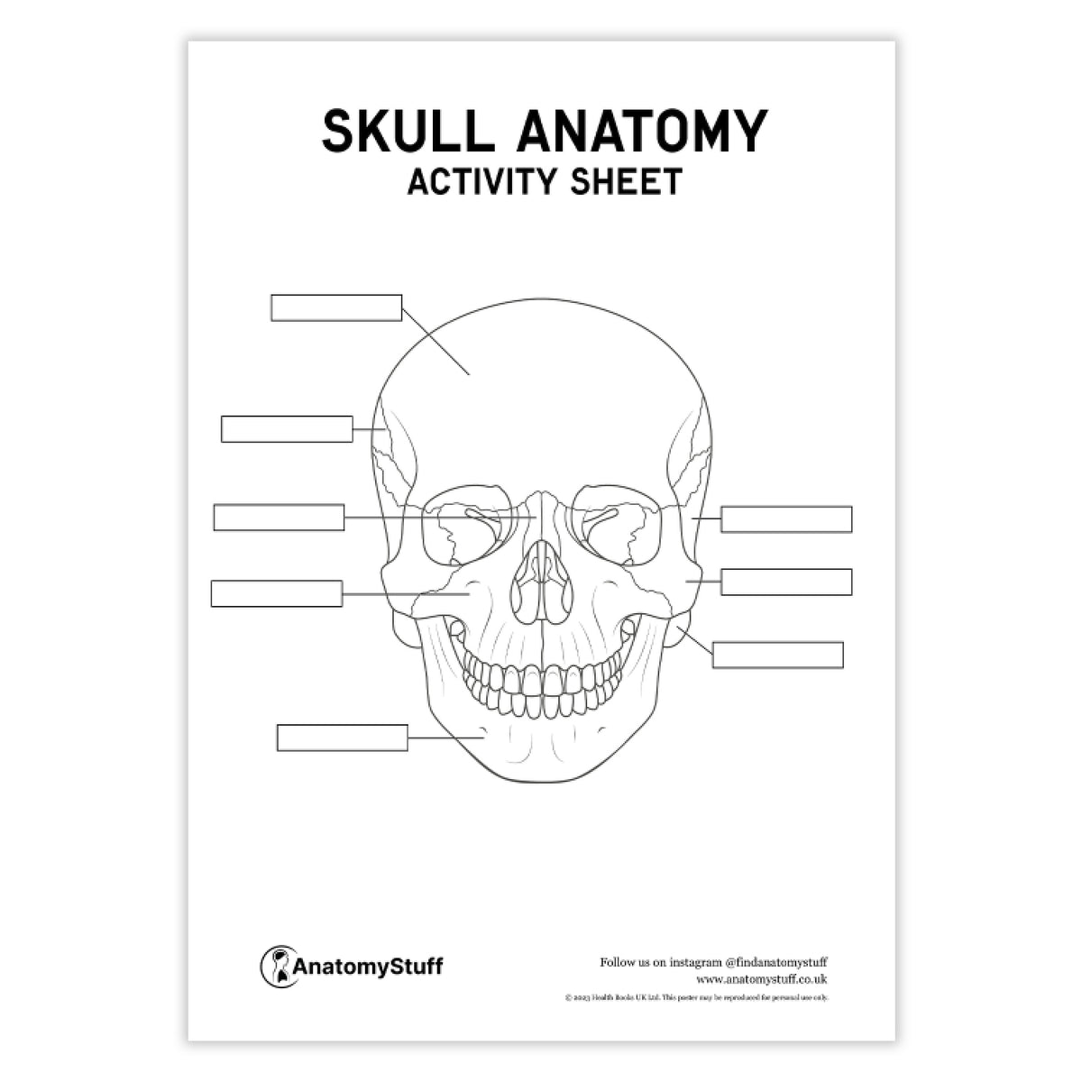 Skull Anatomy Activity Sheet PDF | Colour & Label Download – AnatomyStuff