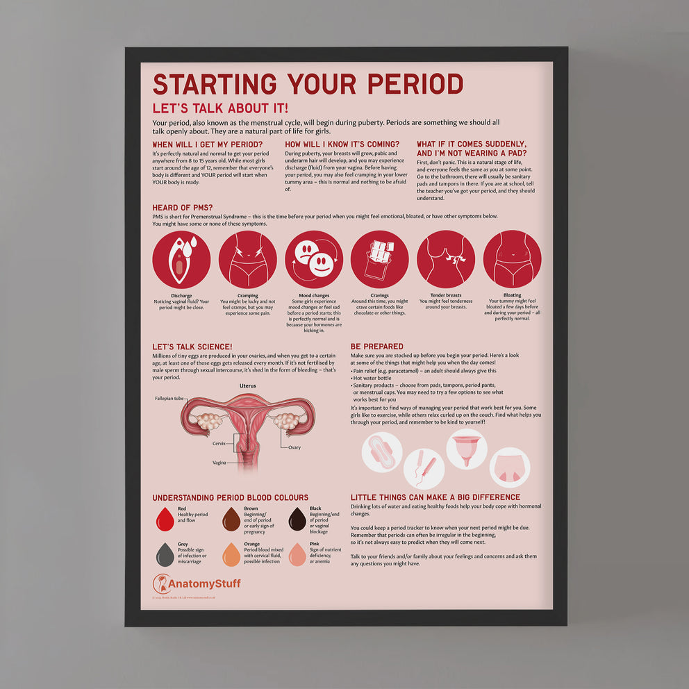 Starting Your Period Poster | School & Menstruation Education ...
