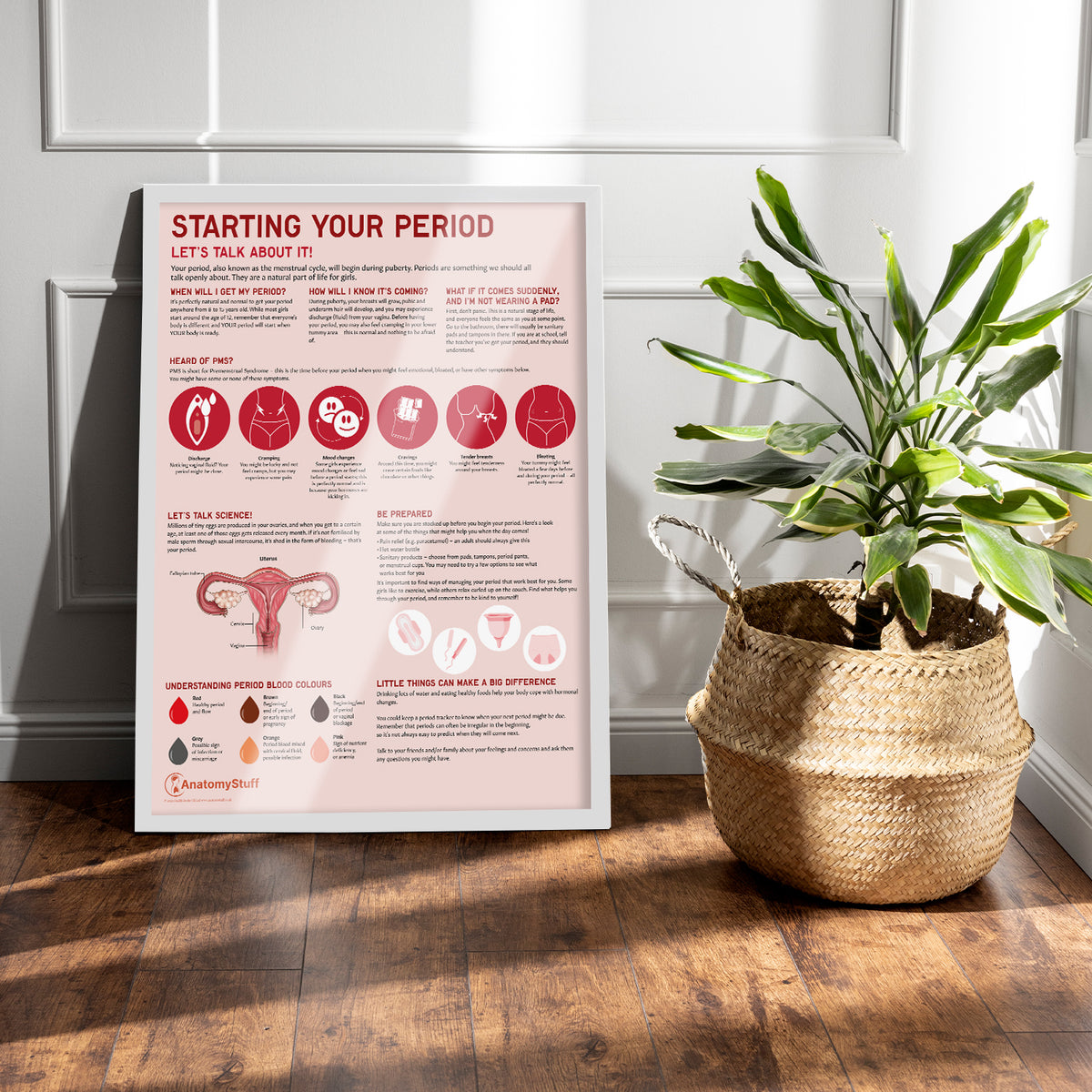 Starting Your Period Poster | School & Menstruation Education ...