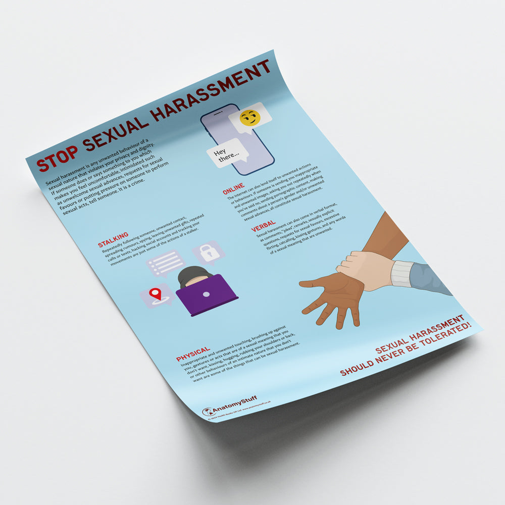 Stop Sexual Harassment Poster | School and Social Studies Education ...
