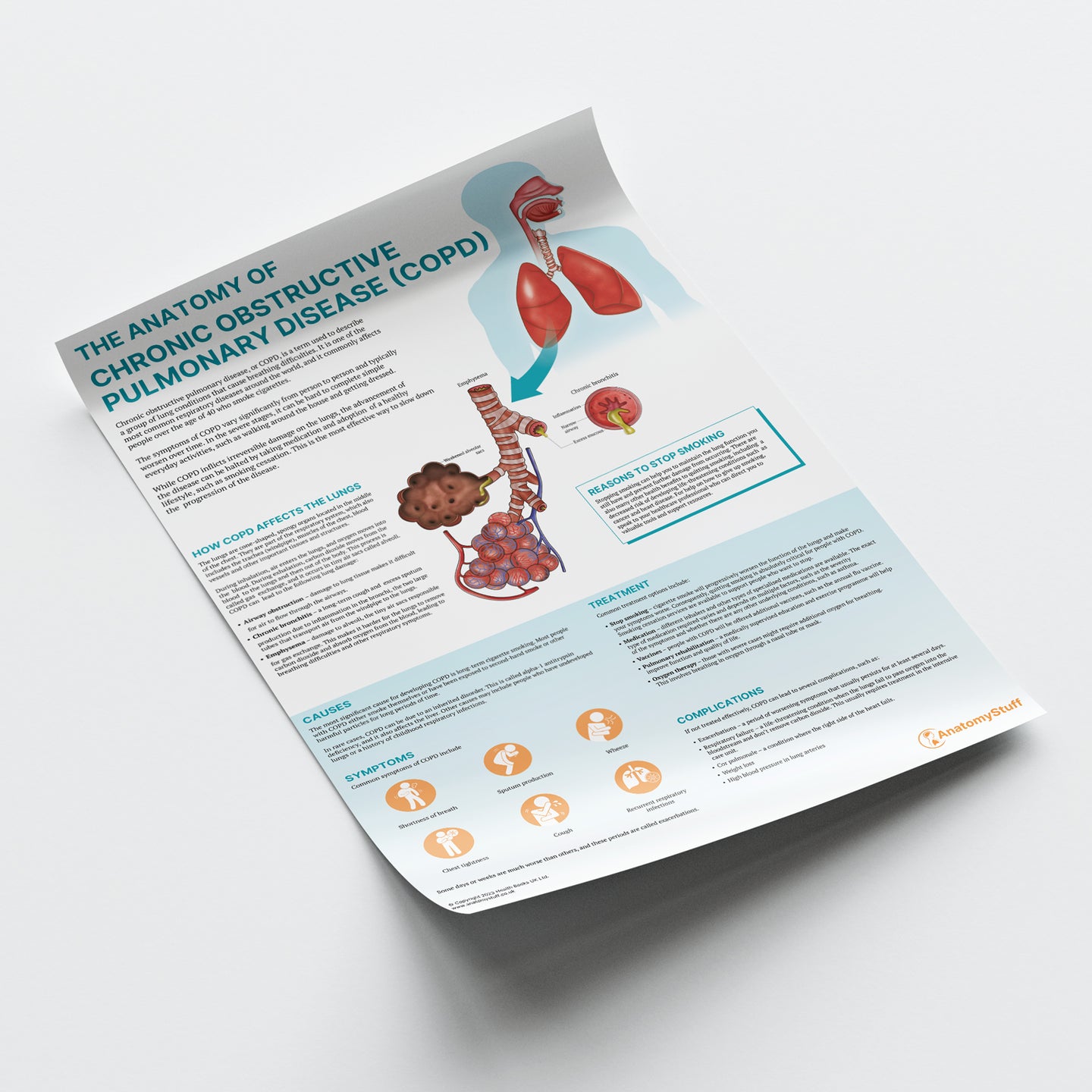 The Anatomy of COPD Chart | Chronic Lung Disease Poster – AnatomyStuff