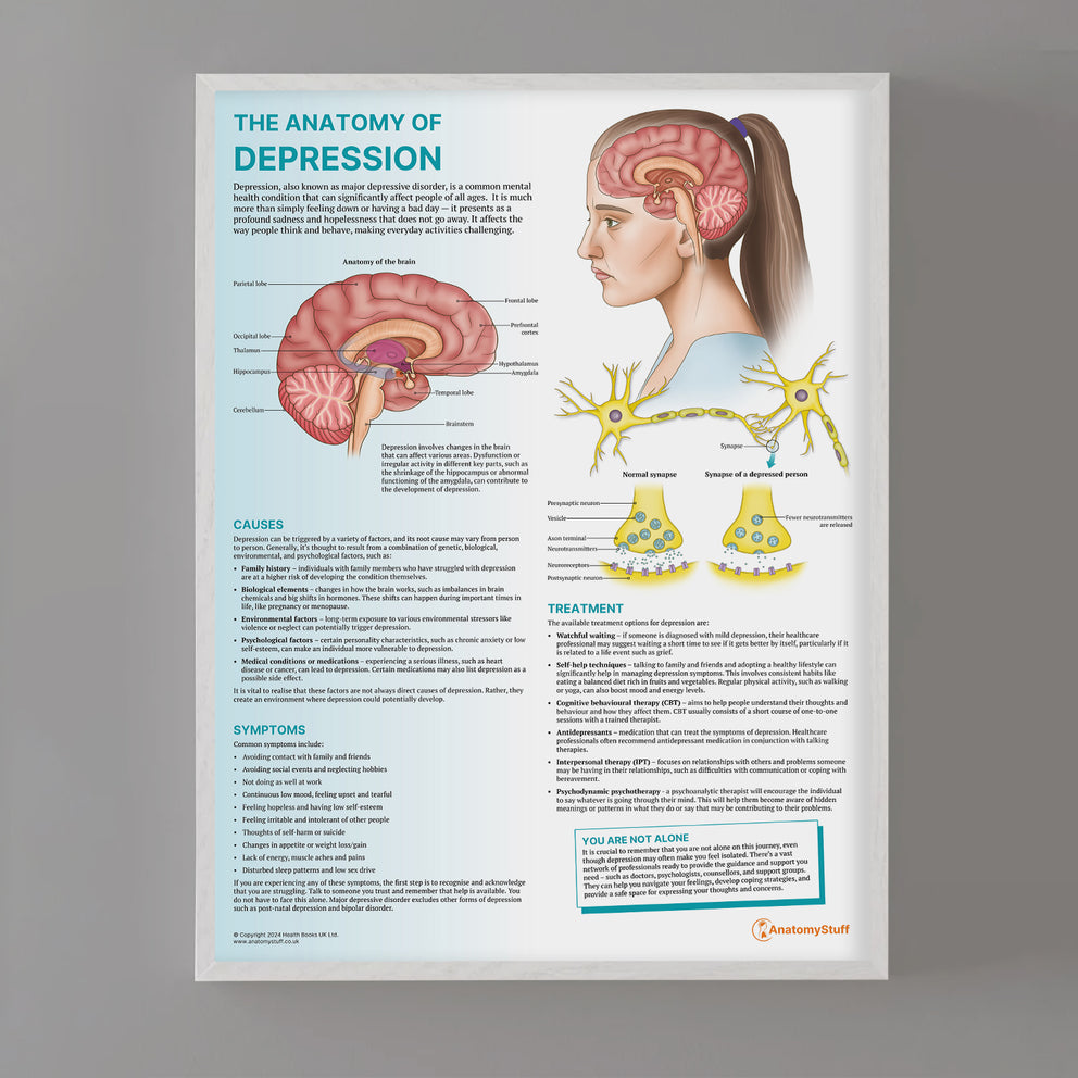 The Anatomy of Depression Chart | Mental Health Poster – AnatomyStuff
