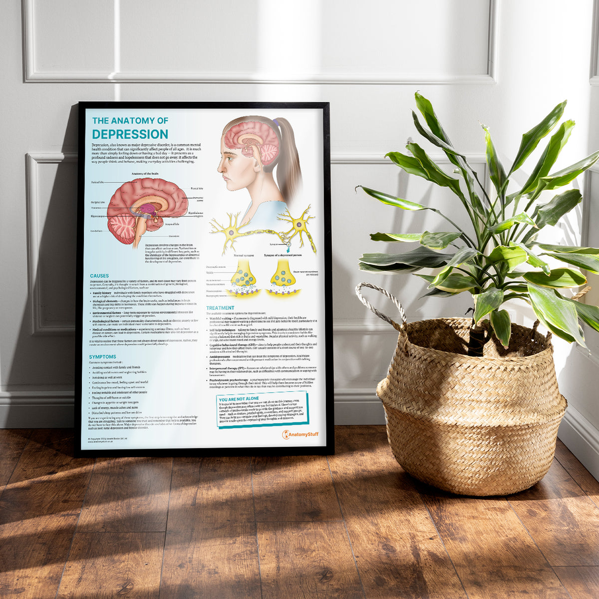 The Anatomy of Depression Chart | Mental Health Poster – AnatomyStuff