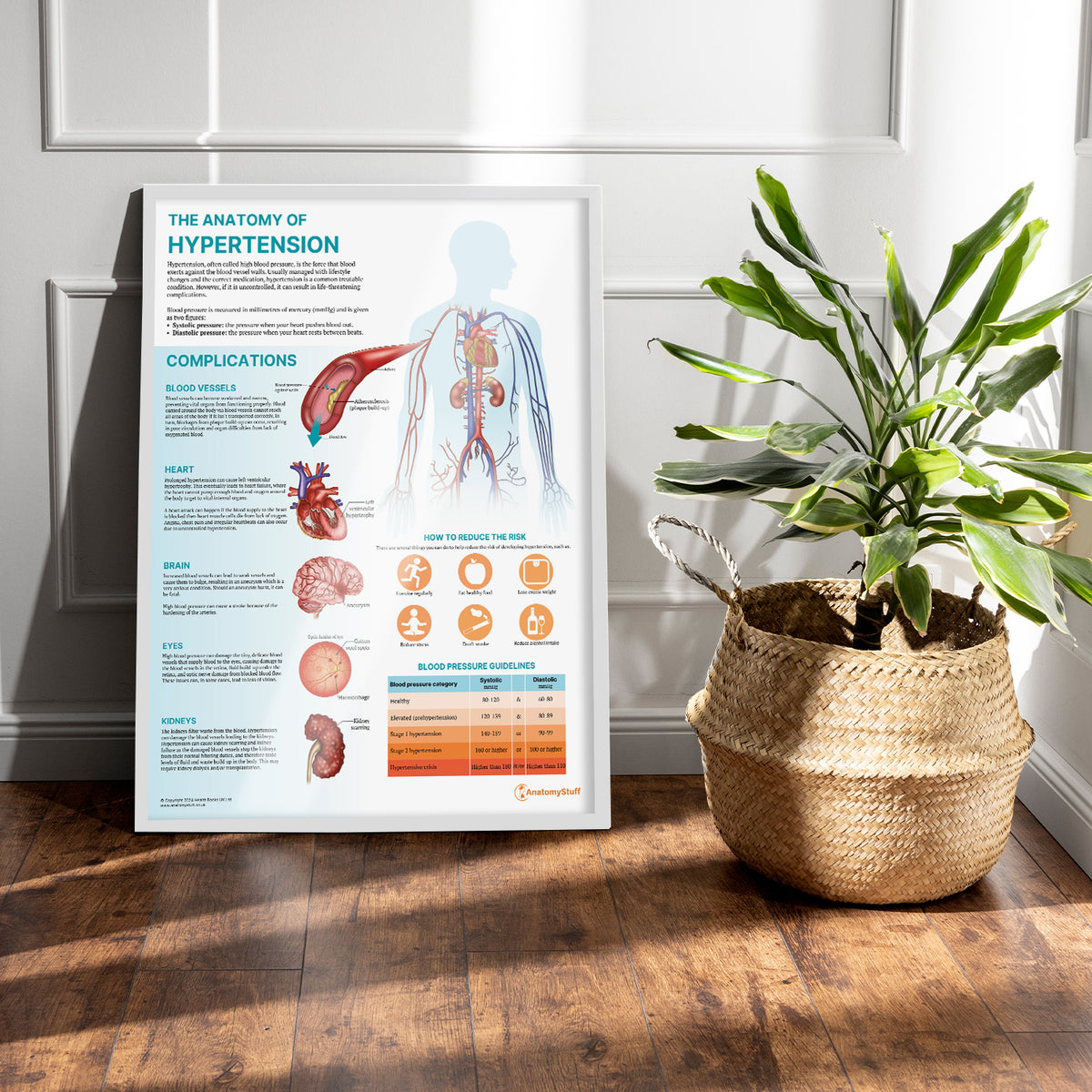The Anatomy of Hypertension Poster | Blood Pressure Education ...
