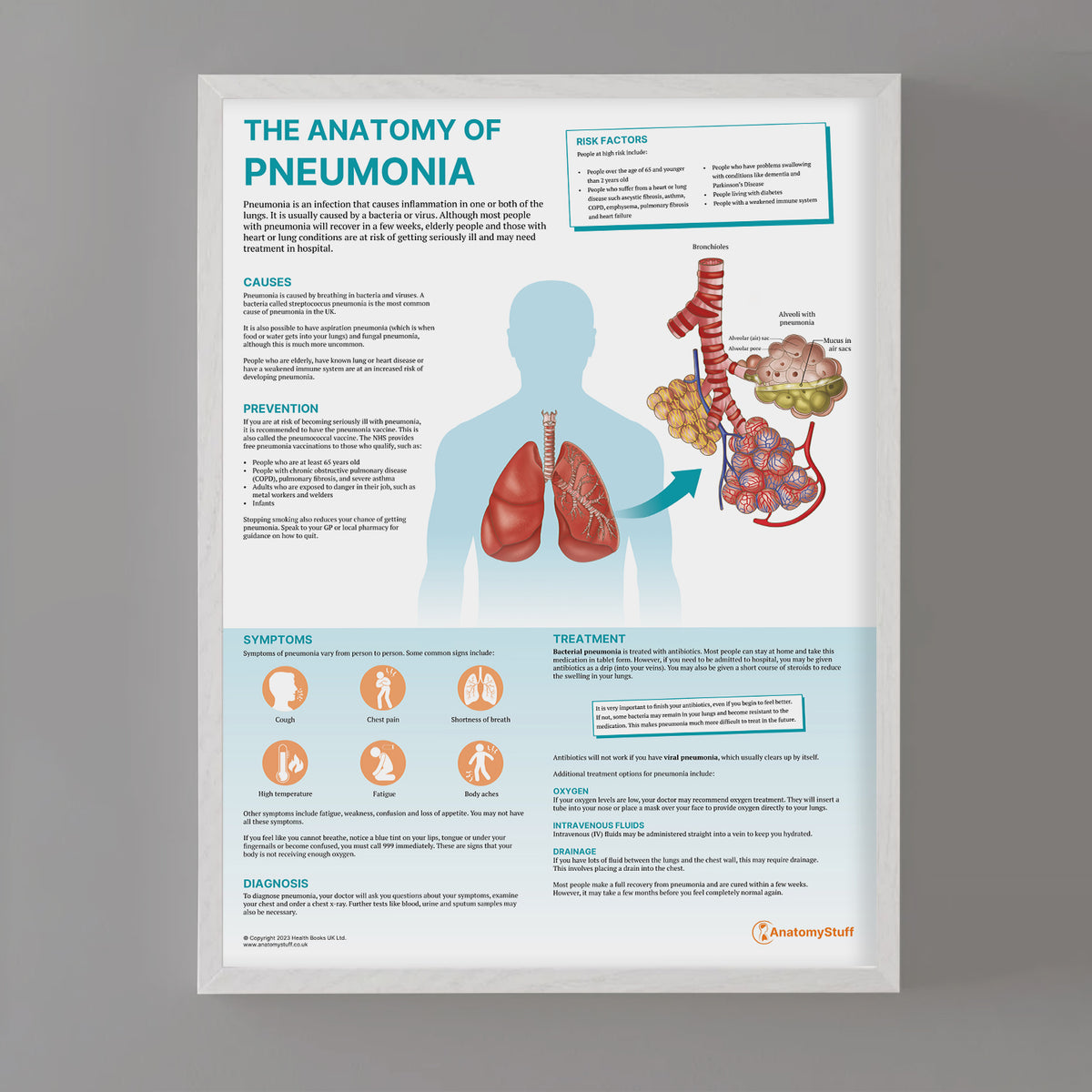 The Anatomy of Pneumonia Poster | Respiratory Infection Education Chart ...