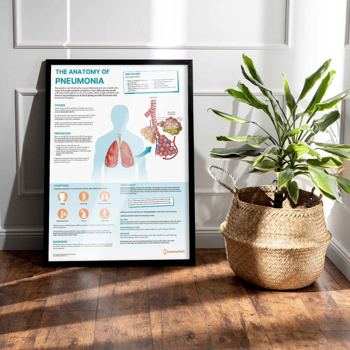 The Anatomy of Pneumonia Poster | Respiratory Infection Education Chart ...