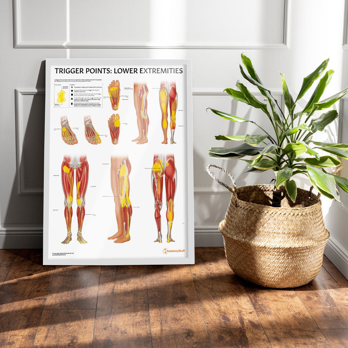 Trigger Points: Lower Extremities Poster | Hip, Knee, Foot Pain Chart ...
