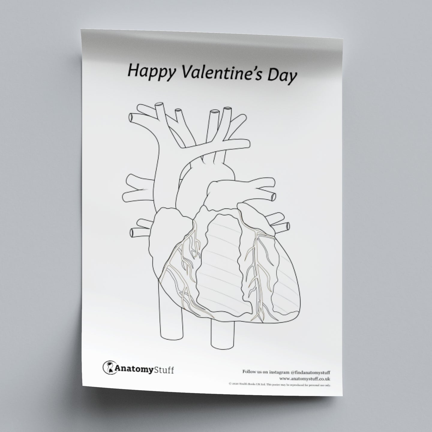 Valentine’s Day Poster | PDF Download – AnatomyStuff