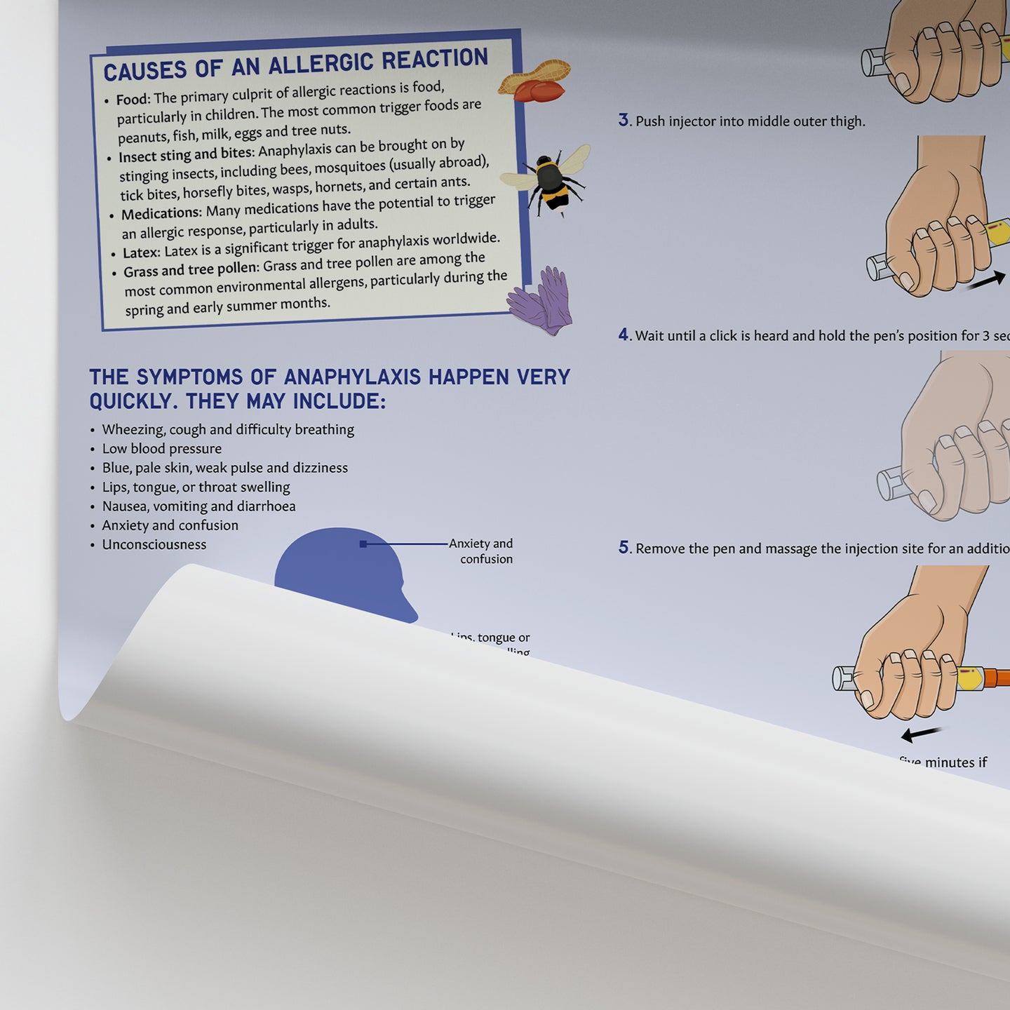 What To Do In Case of An Allergic Reaction Poster | First Aid Wall ...