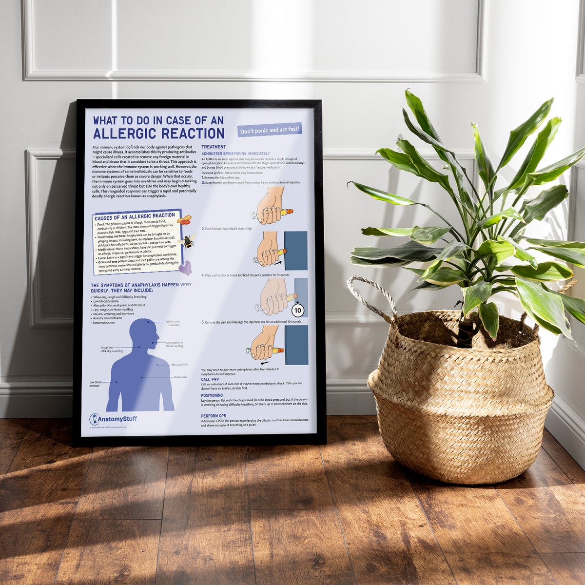 What To Do In Case of An Allergic Reaction Poster | First Aid Wall ...