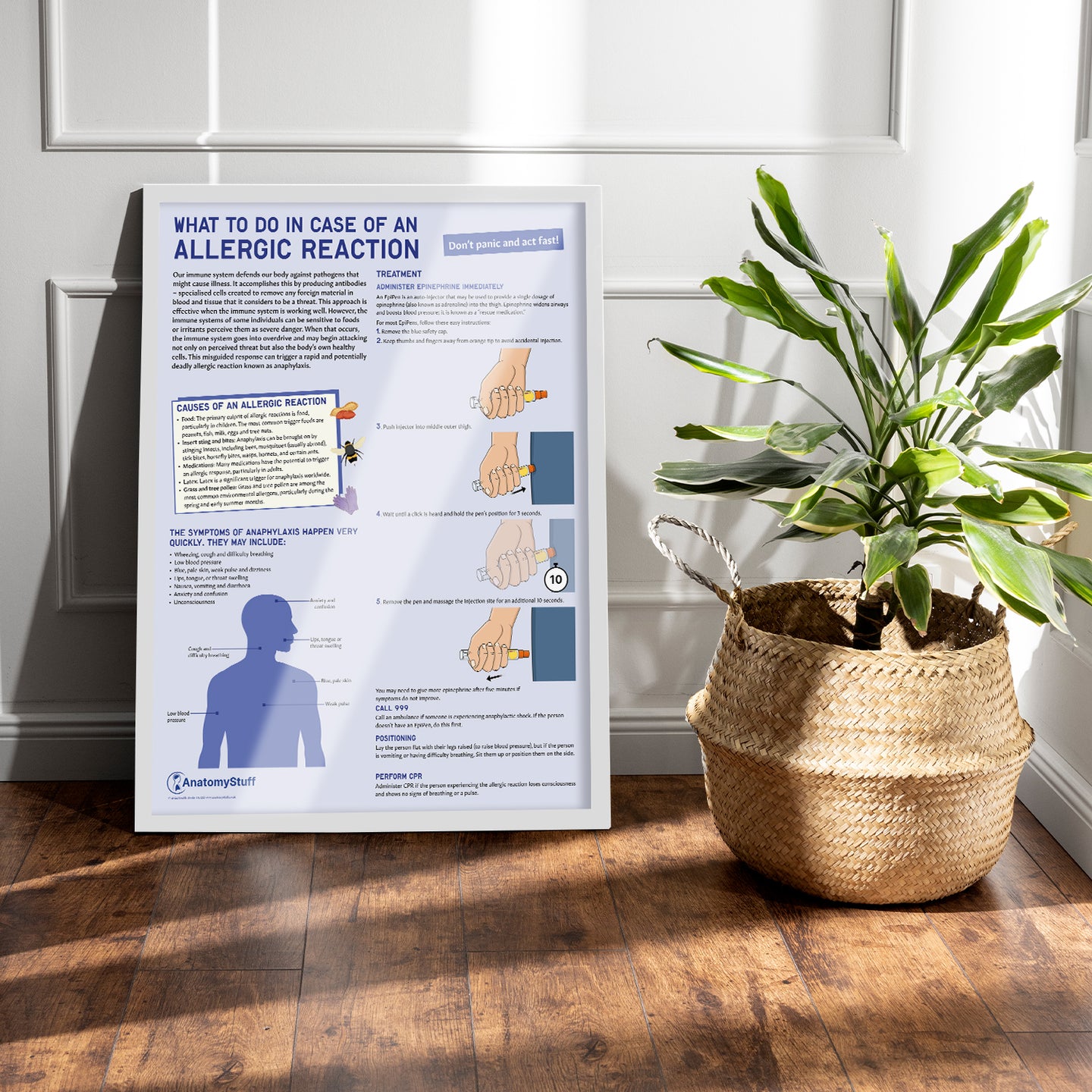 What To Do In Case of An Allergic Reaction Poster | First Aid Wall ...